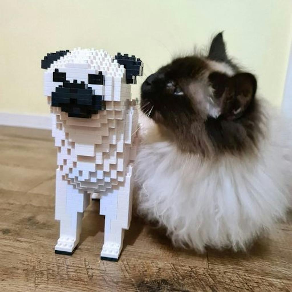 Pug - Pet Building Kit - Build 'Em Pets