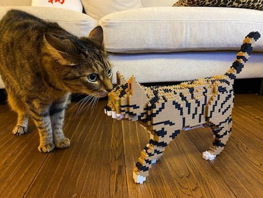 Tabby Cat - Pet Building Kit - Build 'Em Pets