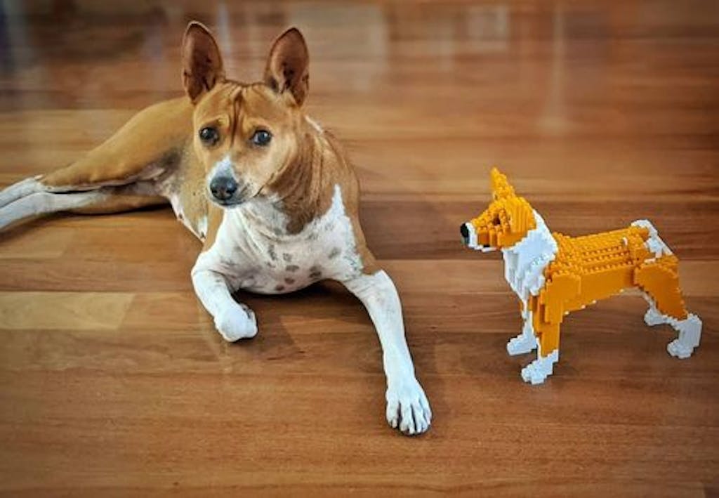 Basenji Toy Building Blocks l Different Than LEGOs