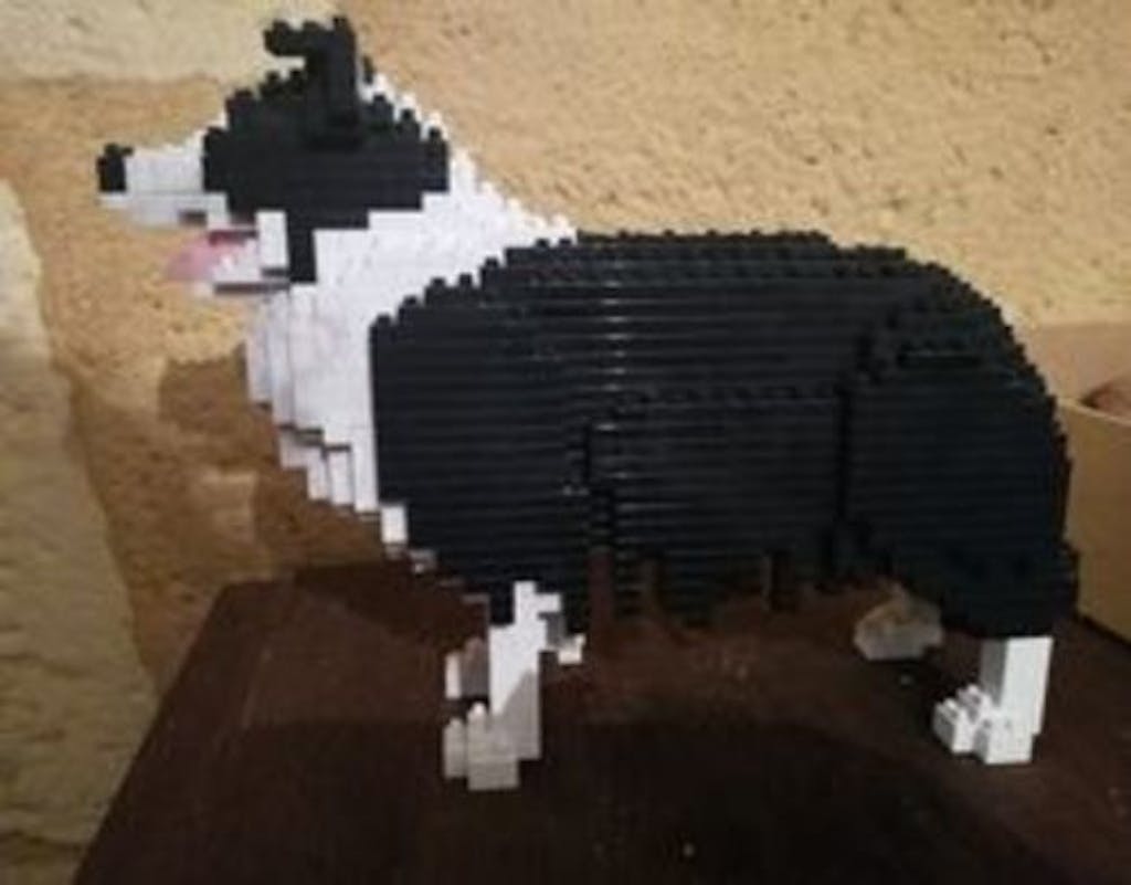 Border Collie - Pet Building Kit - Build 'Em Pets