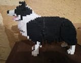 Border Collie - Pet Building Kit - Build 'Em Pets