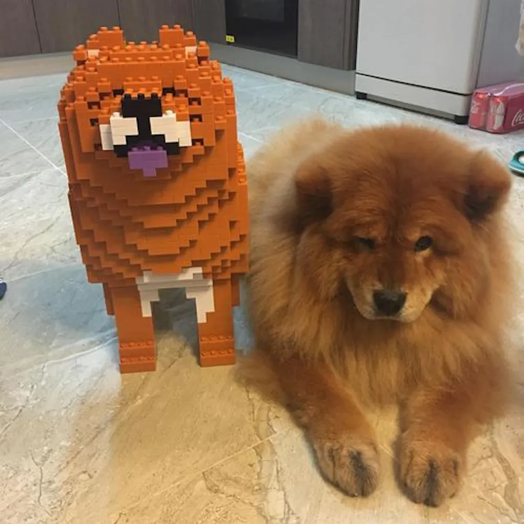 Chow Chow - Pet Building Kit - Build 'Em Pets