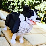 Border Collie - Pet Building Kit - Build 'Em Pets