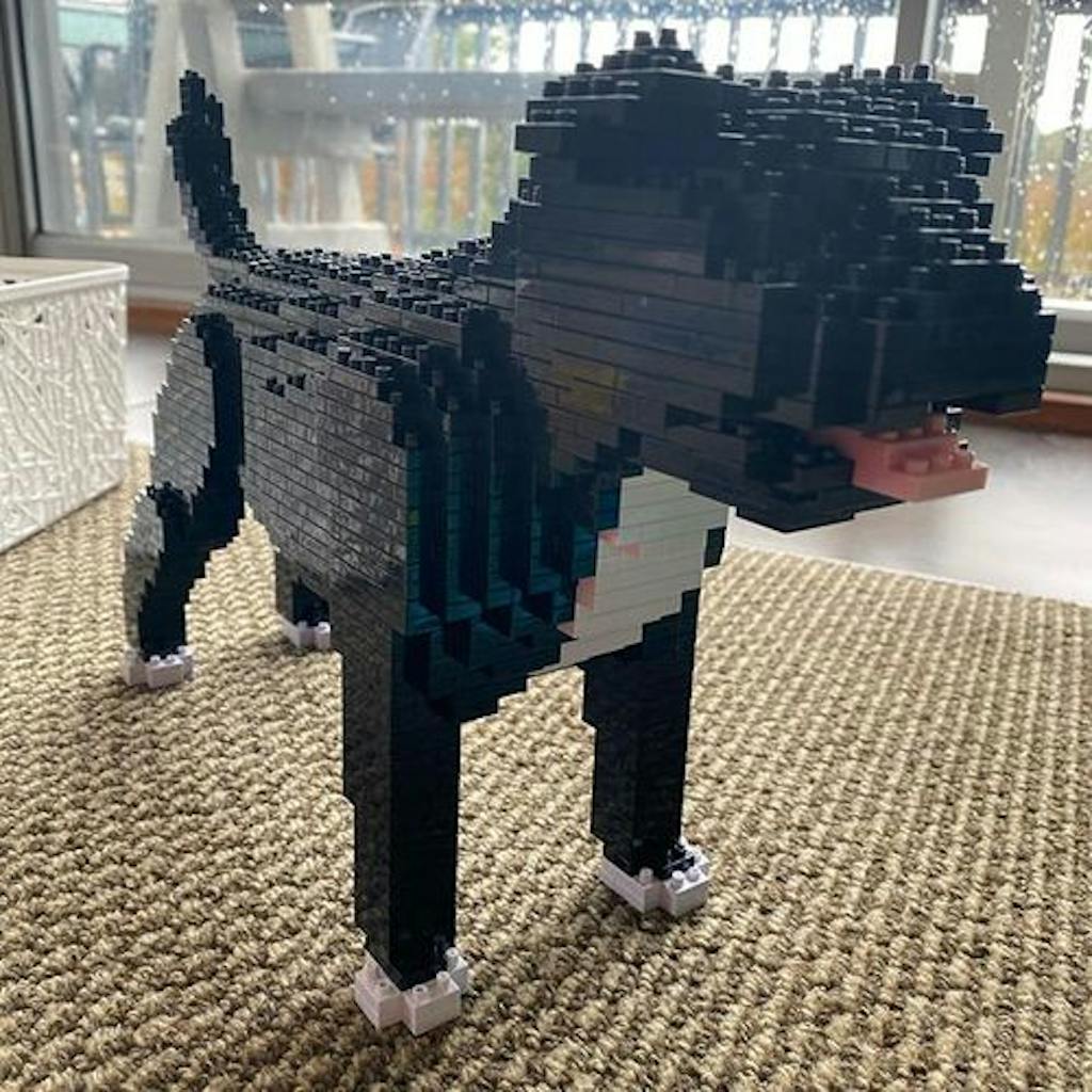 Staffordshire Bull Terrier - Pet Building Kit - Build 'Em Pets