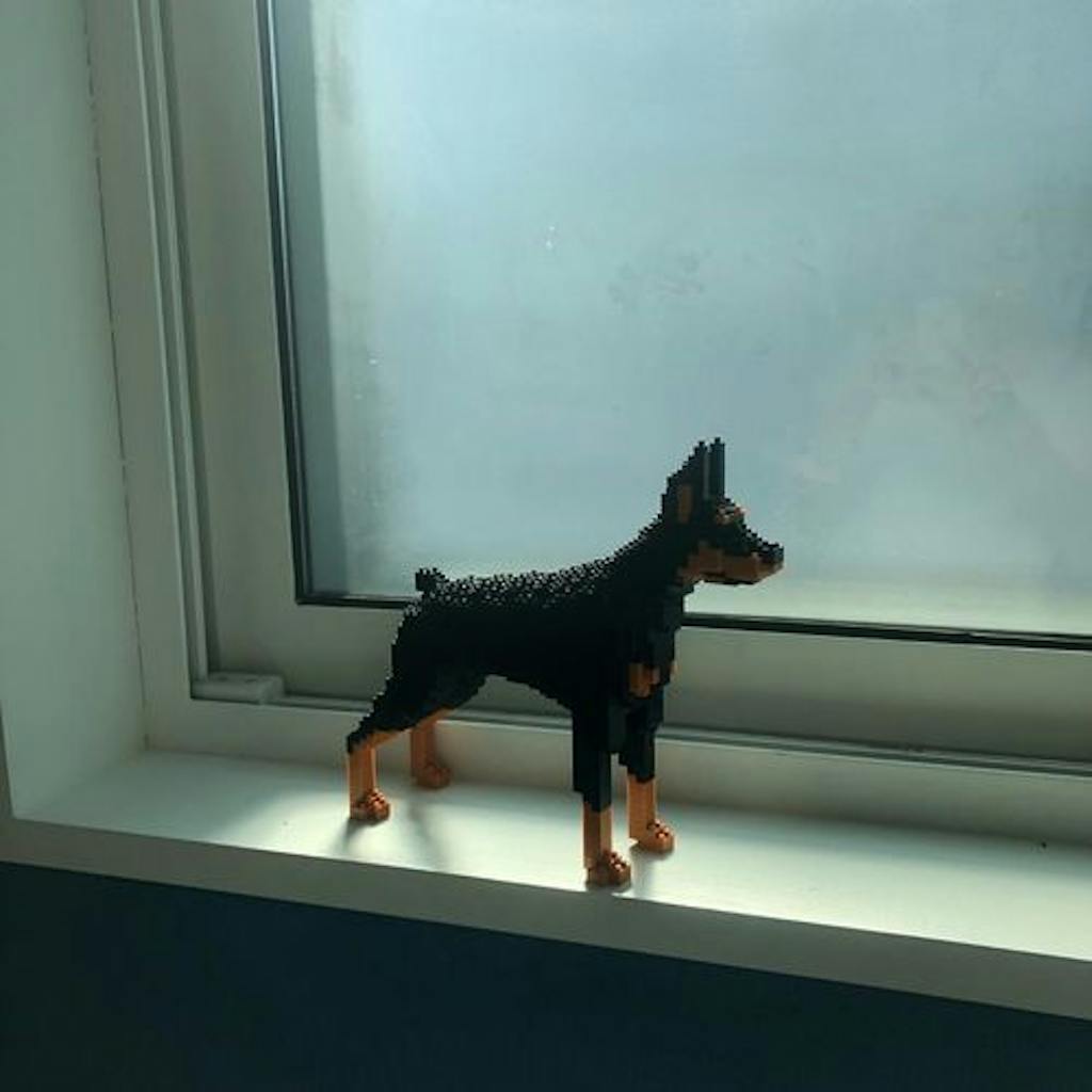 Doberman Pinscher - Pet Building Kit - Build 'Em Pets