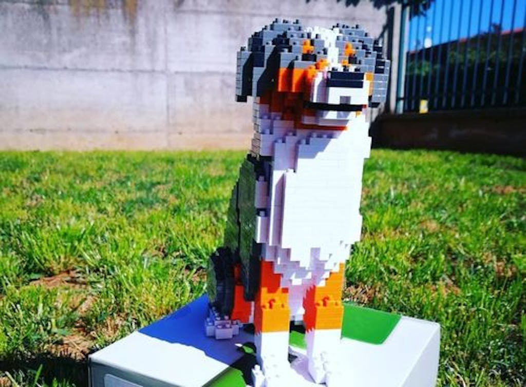 Australian Shepherd - Pet Building Kit - Build 'Em Pets