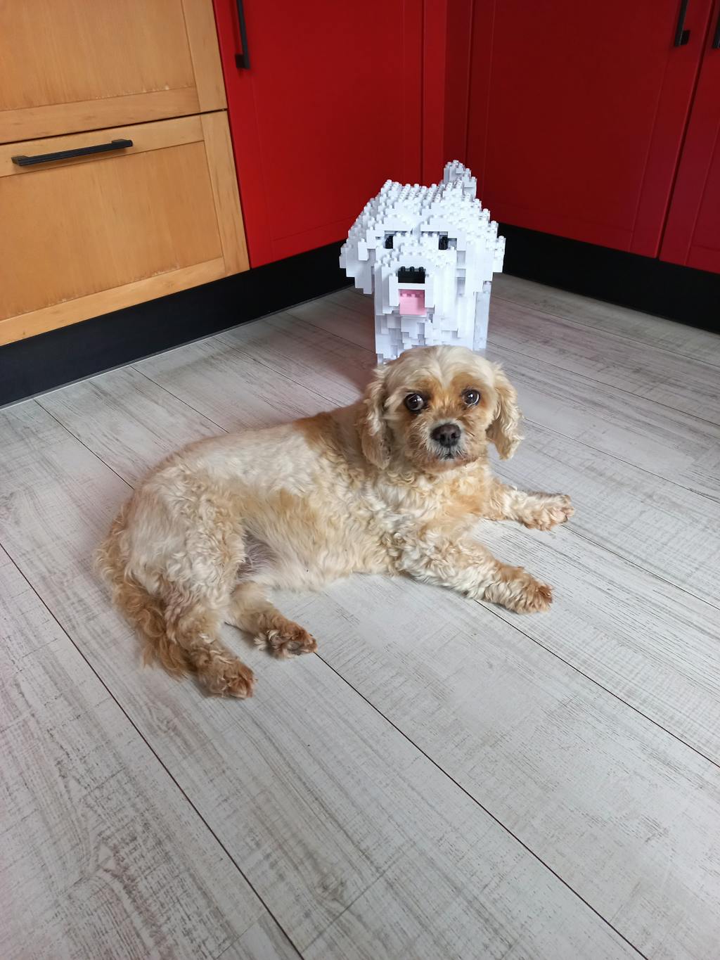 Maltese Toy Building Blocks l Different Than LEGOs