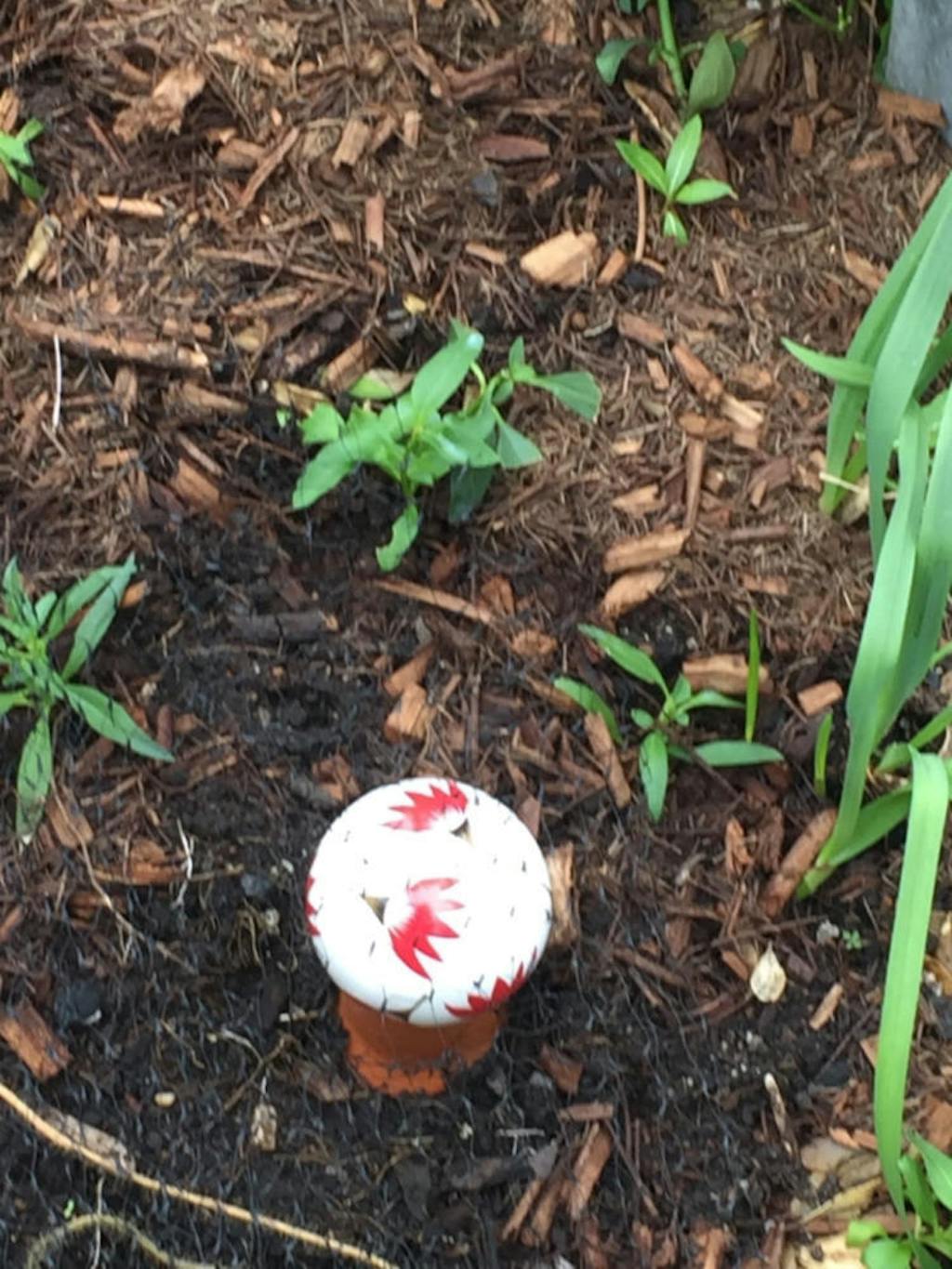 Large Self Watering Olla Pot Australia | Eco-friendly Terracotta – Up ...