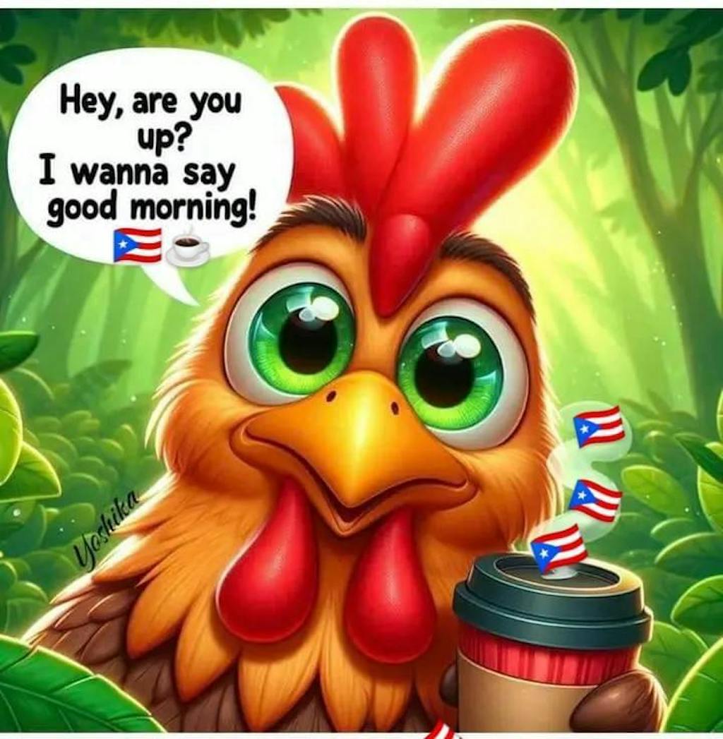 Reviews — Urban Bikes Direct