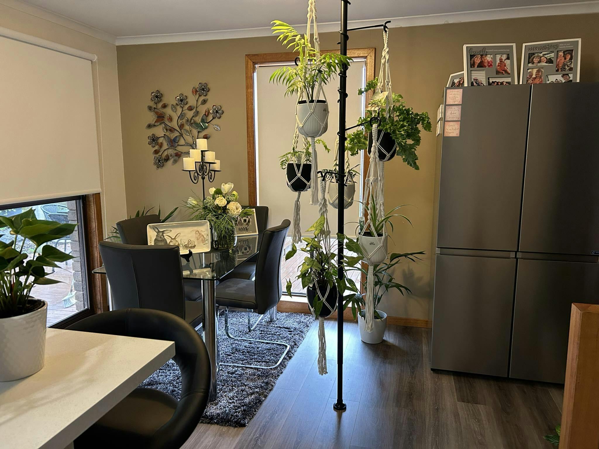 Tension Plant Hanging Pole - Black – Urban Greenhouse