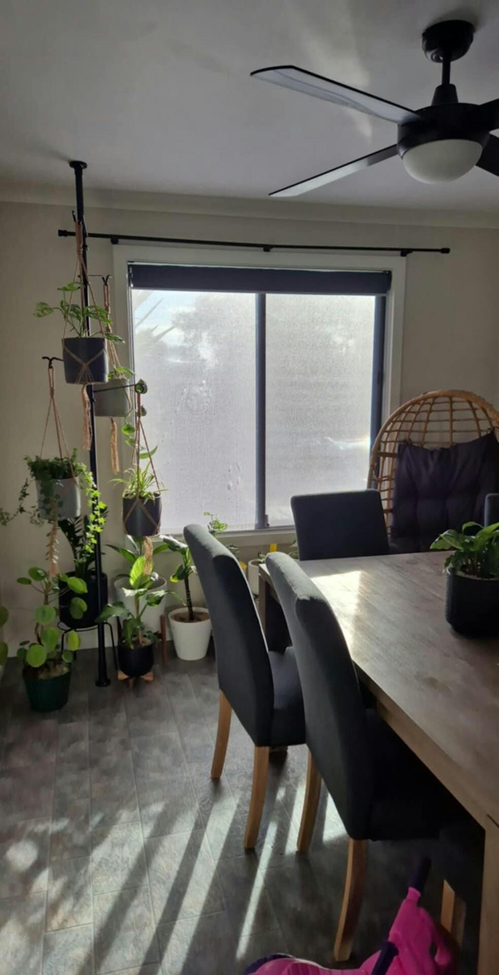 Tension Plant Hanging Pole - Black – Urban Greenhouse