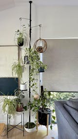 Tension Plant Hanging Pole - Black – Urban Greenhouse