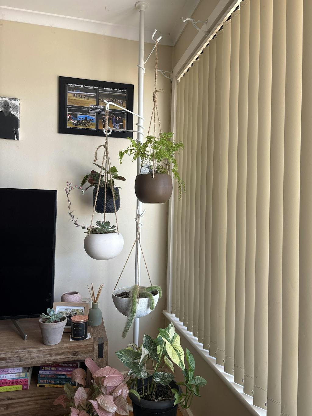Tension Plant Pole With Hooks - White – Urban Greenhouse