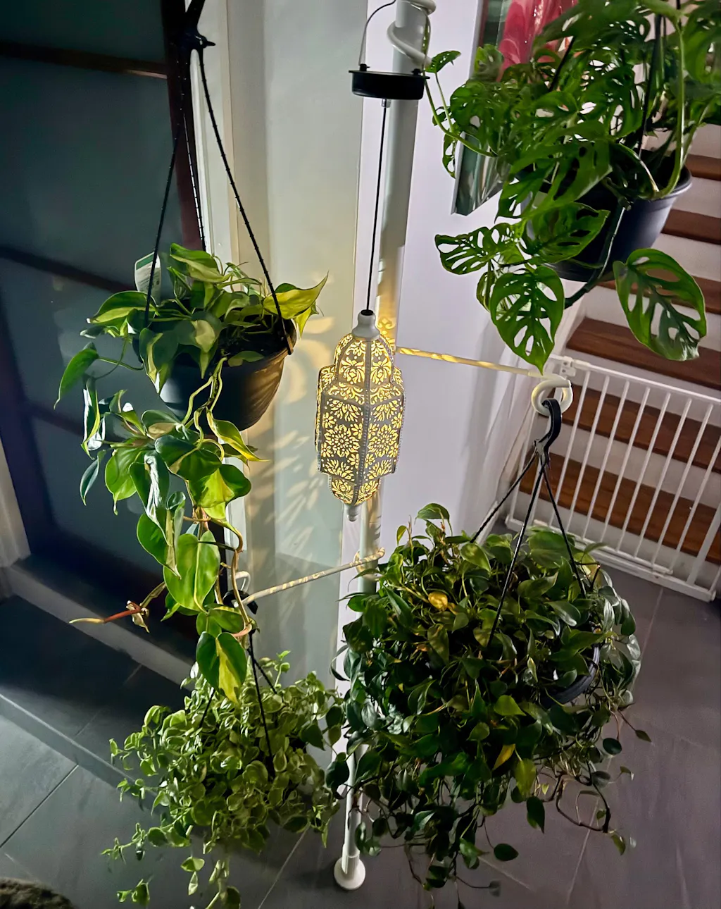 Tension Plant Pole With Hooks - White – Urban Greenhouse