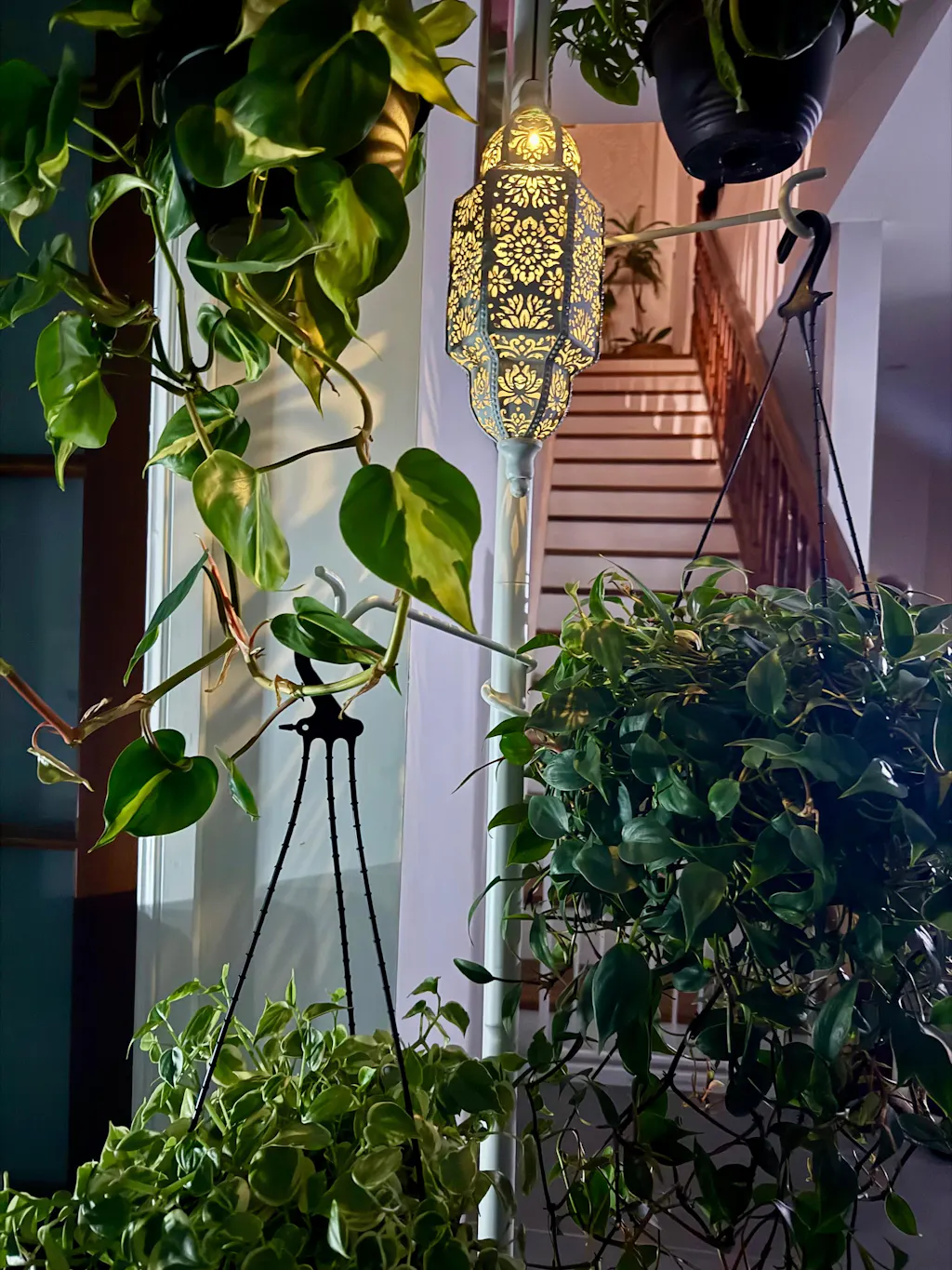 Tension Plant Pole With Hooks - White – Urban Greenhouse