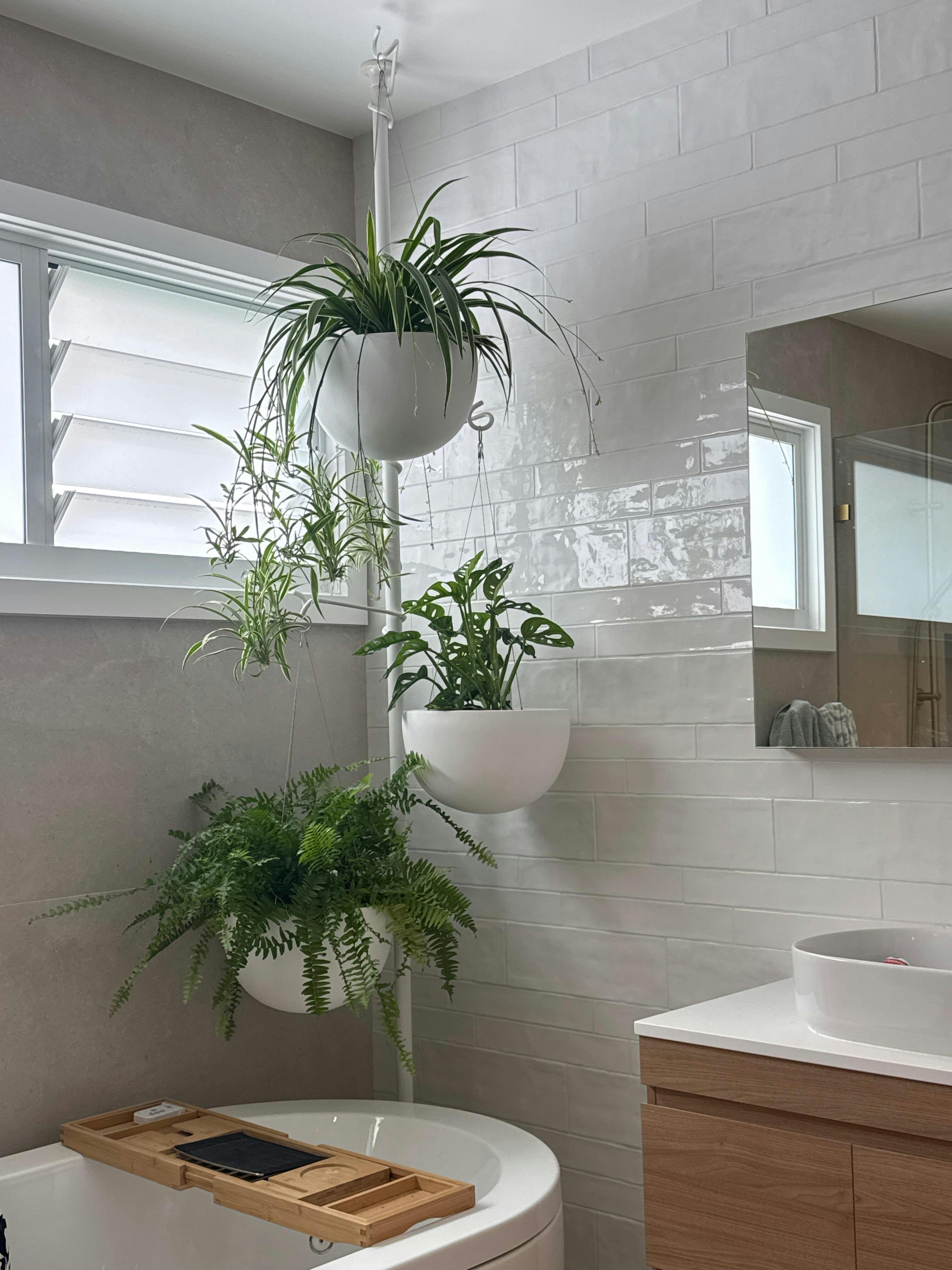 Tension Plant Pole With Hooks - White – Urban Greenhouse