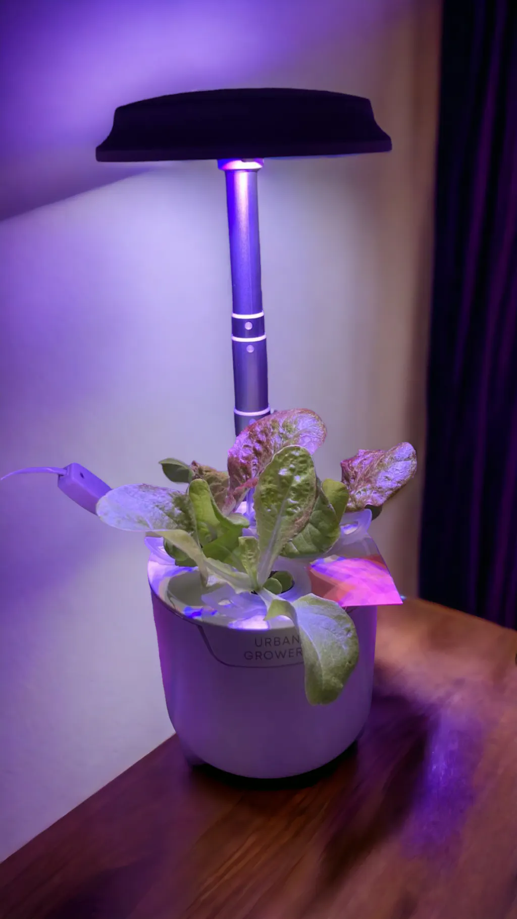 Hydroponisk Odling - Urban Oasis Mini-Y03 – Urban Growers