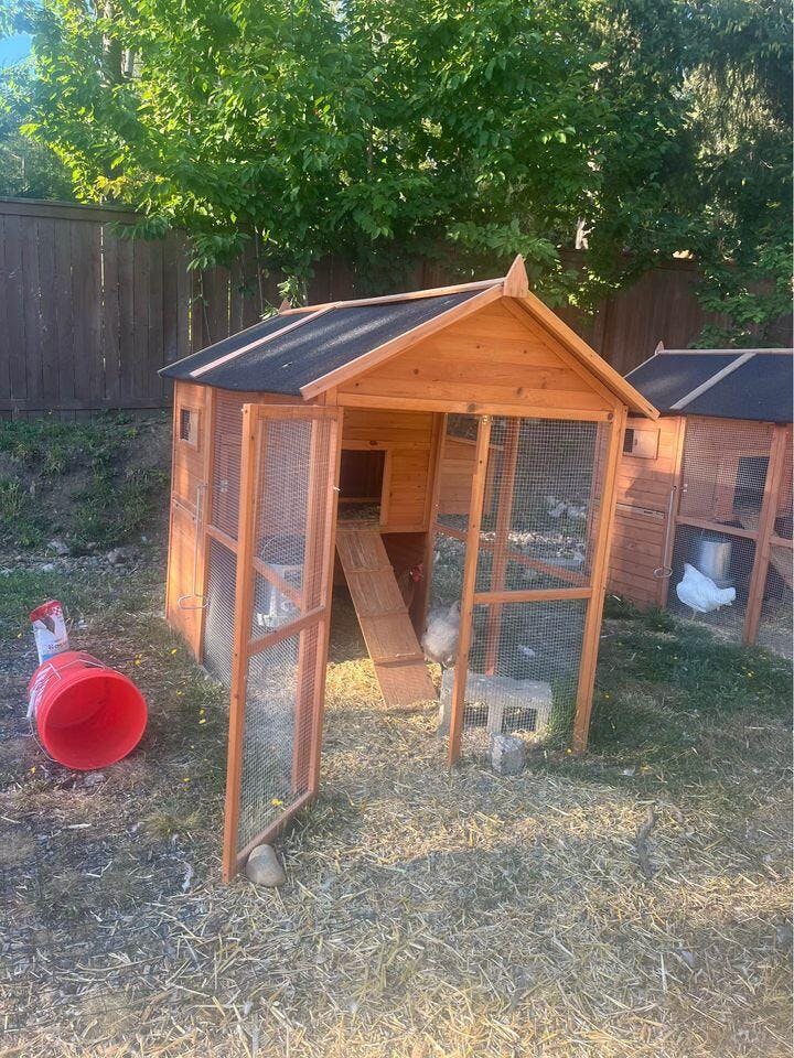 NEW FarmHouse Coop. In-Stock Barn Red Stain on sale – Urban Northern Coops