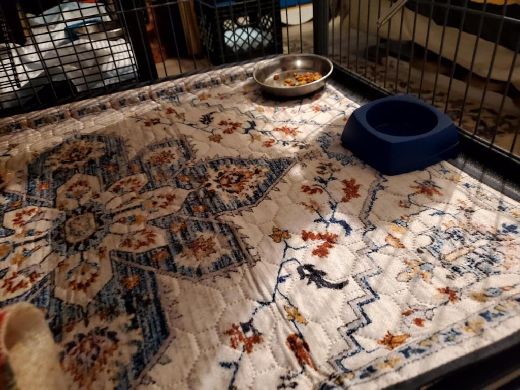 The Best Pee Pad You'll Get (Pack of 2) – Urban Pup Gears