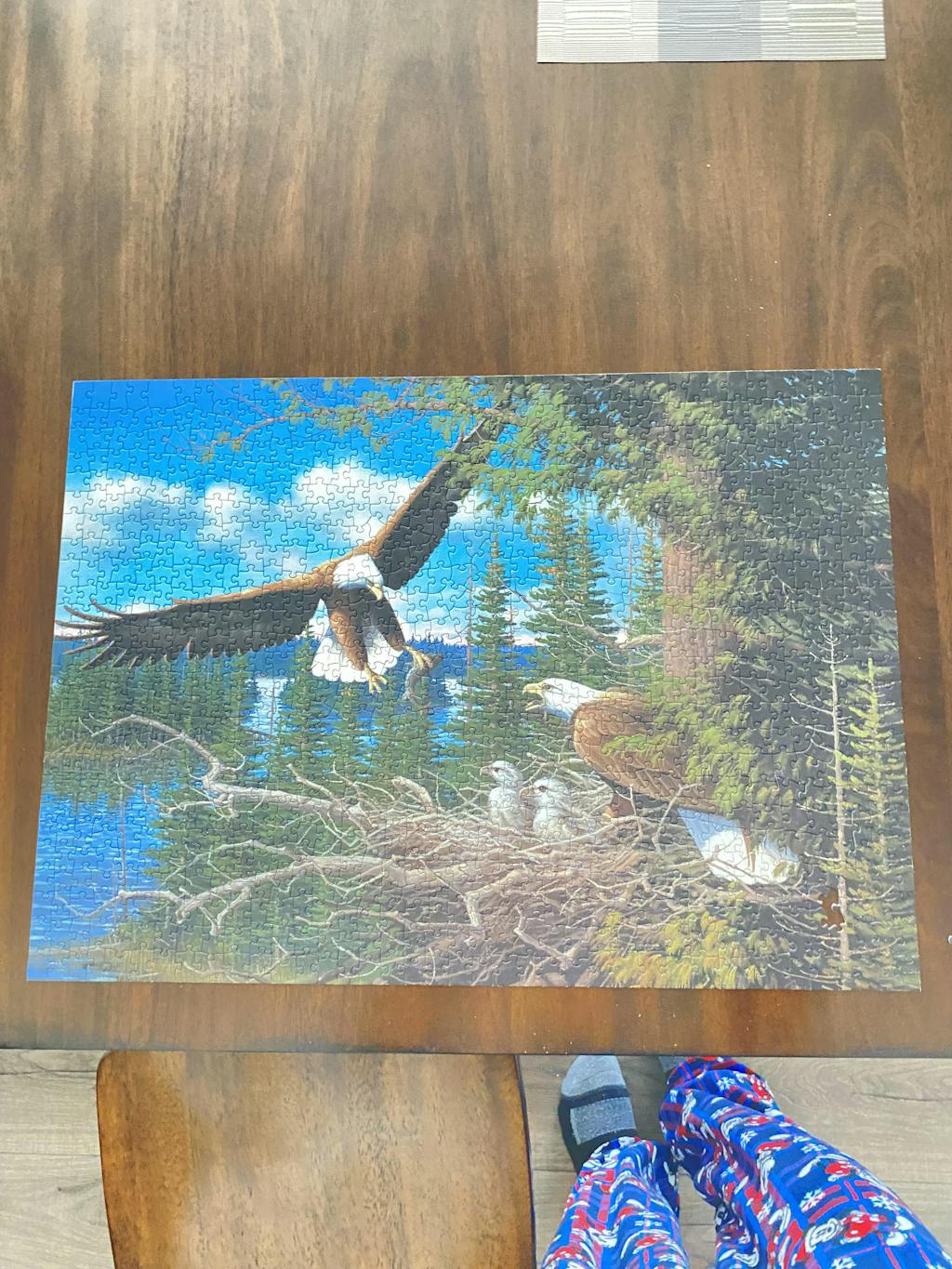 Nesting Eagles | 1000 Piece - Cobble Hill Puzzles — USA Cobble Hill Puzzles