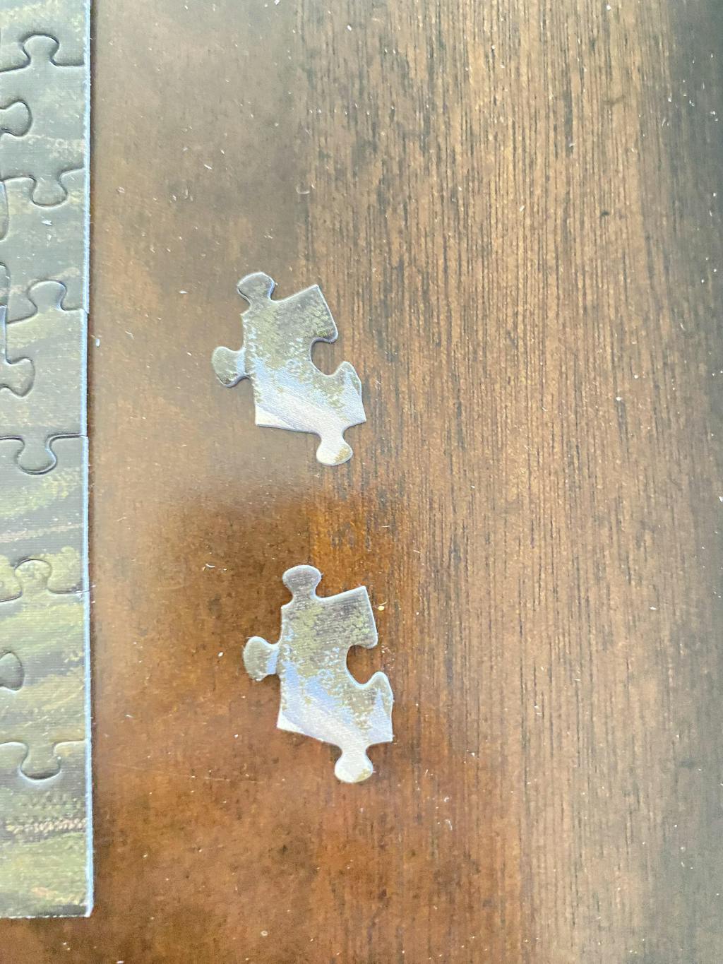 Nesting Eagles | 1000 Piece - Cobble Hill Puzzles — USA Cobble Hill Puzzles