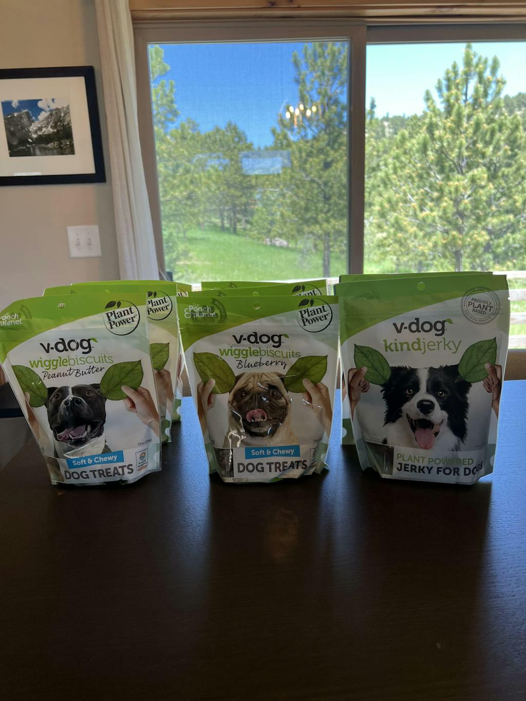 Testimonials – V-dog