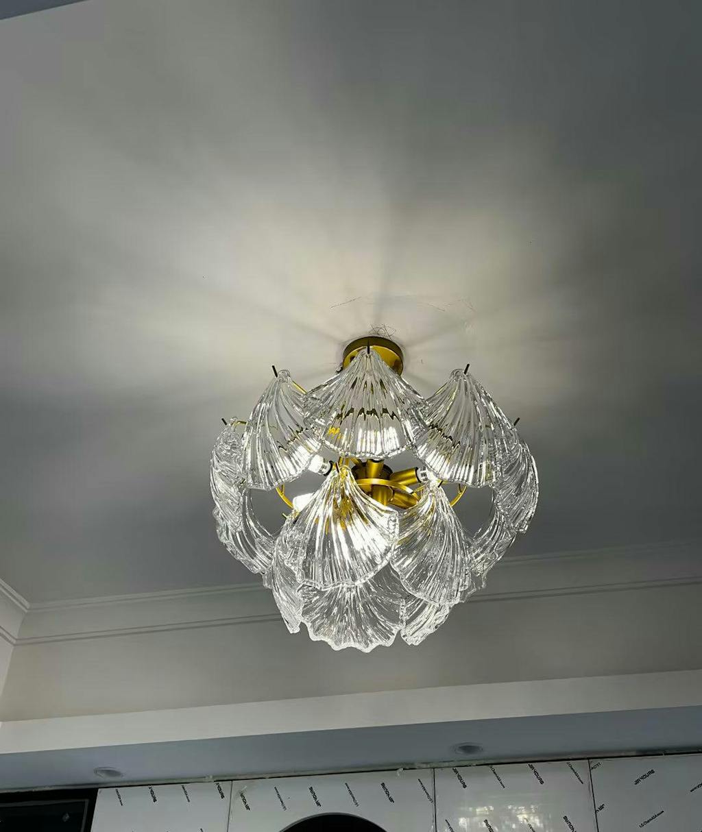 Ribbed Shell Ceiling light – Vakkerlight