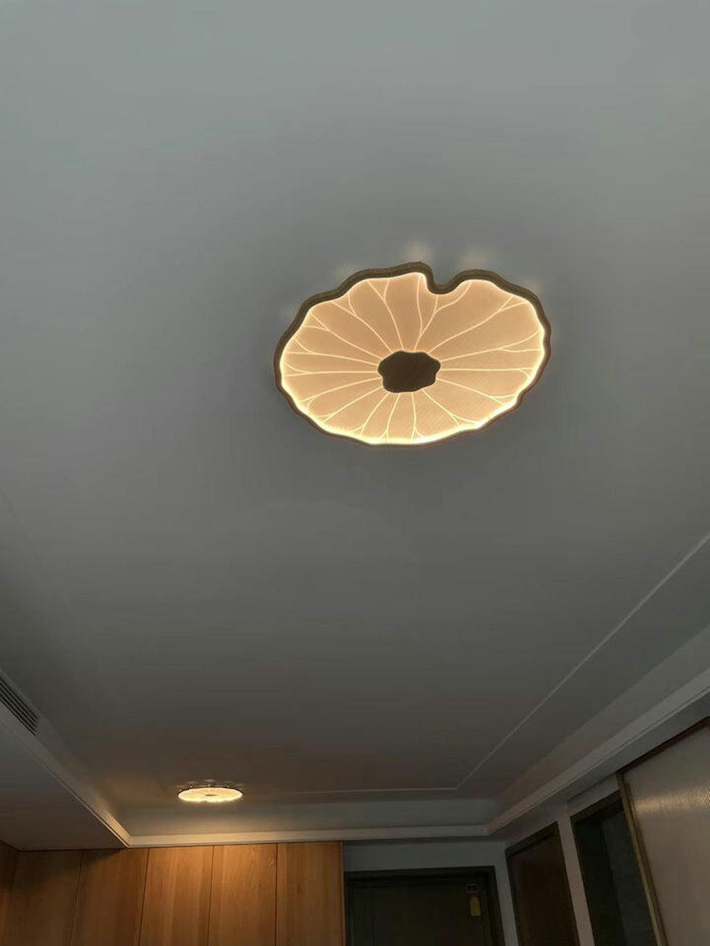 Lotus Leaf Acrylic Ceiling Lamp – Vakkerlight