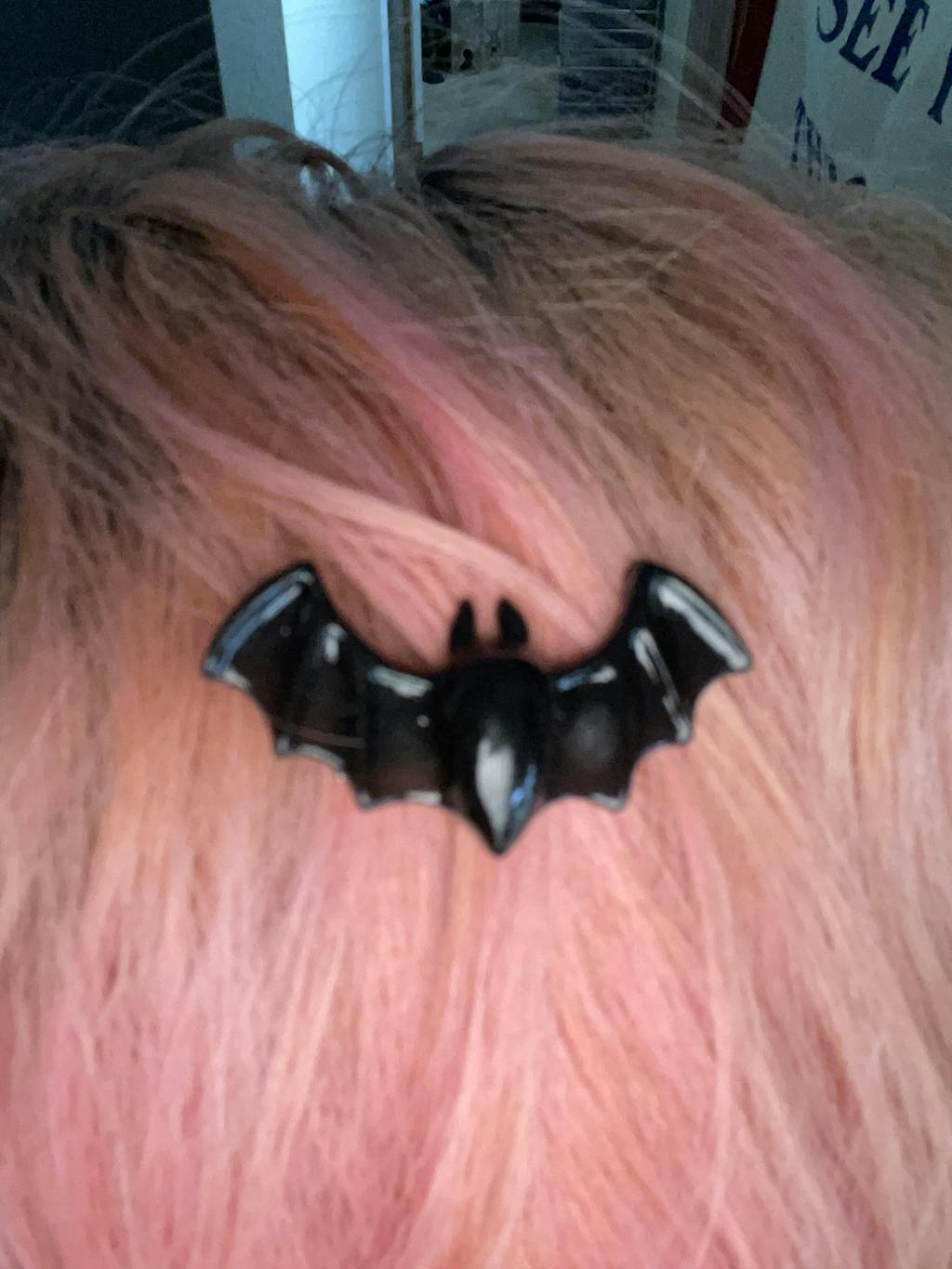 Lil Black Bats Hair Slides [Pair] – VampireFreaks