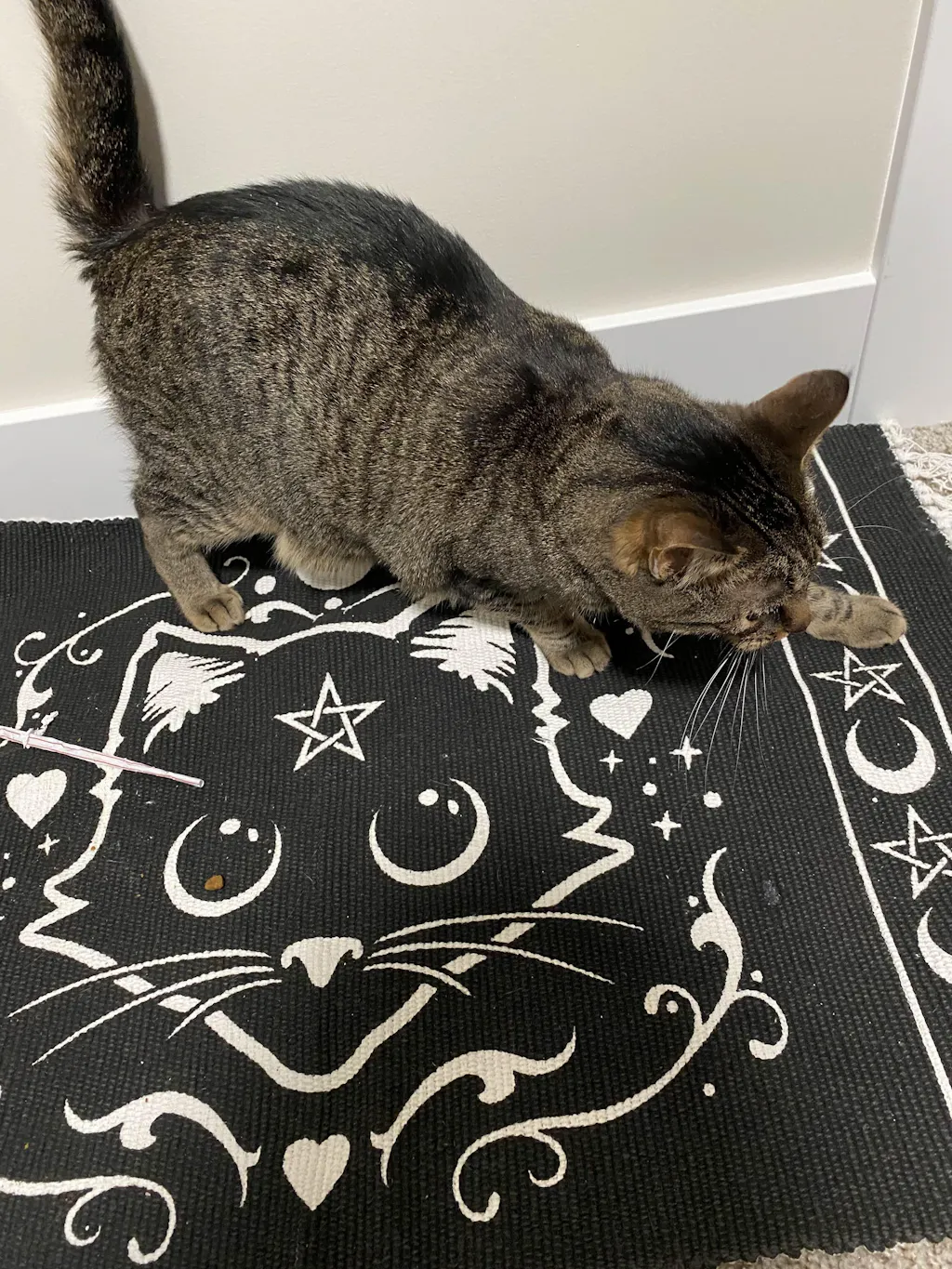 Purrfect Rug – VampireFreaks