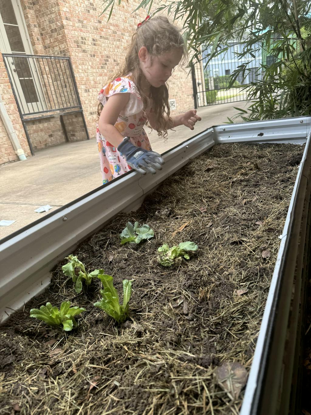 17" Tall Rectangle 2x8 Raised Garden Bed VEGEGA