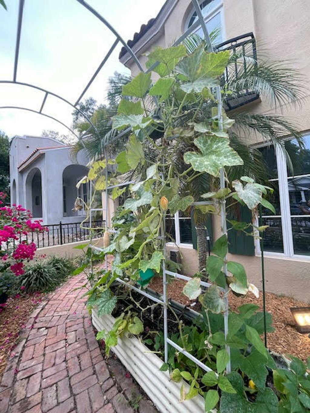 Arched Trellis same material with metal garden beds | VEGEGA