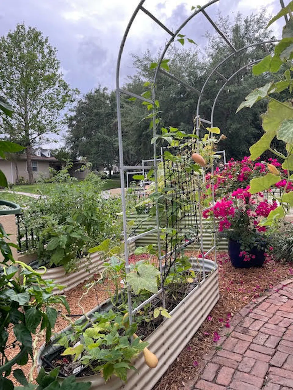 Arched Trellis same material with metal garden beds | VEGEGA