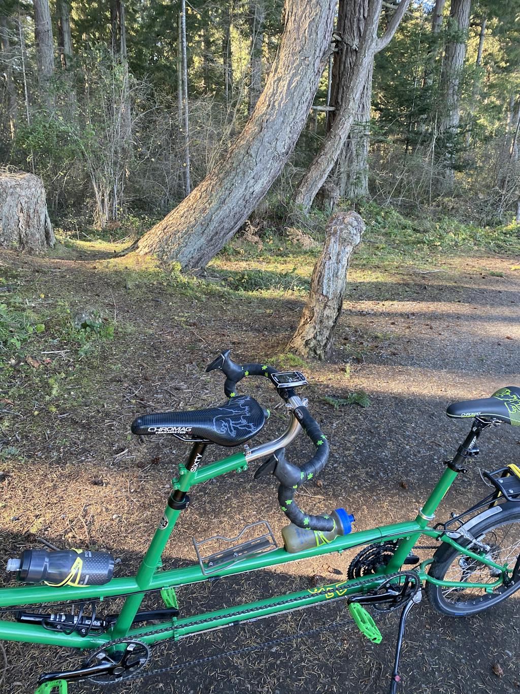 Velo Orange Cigne Stem