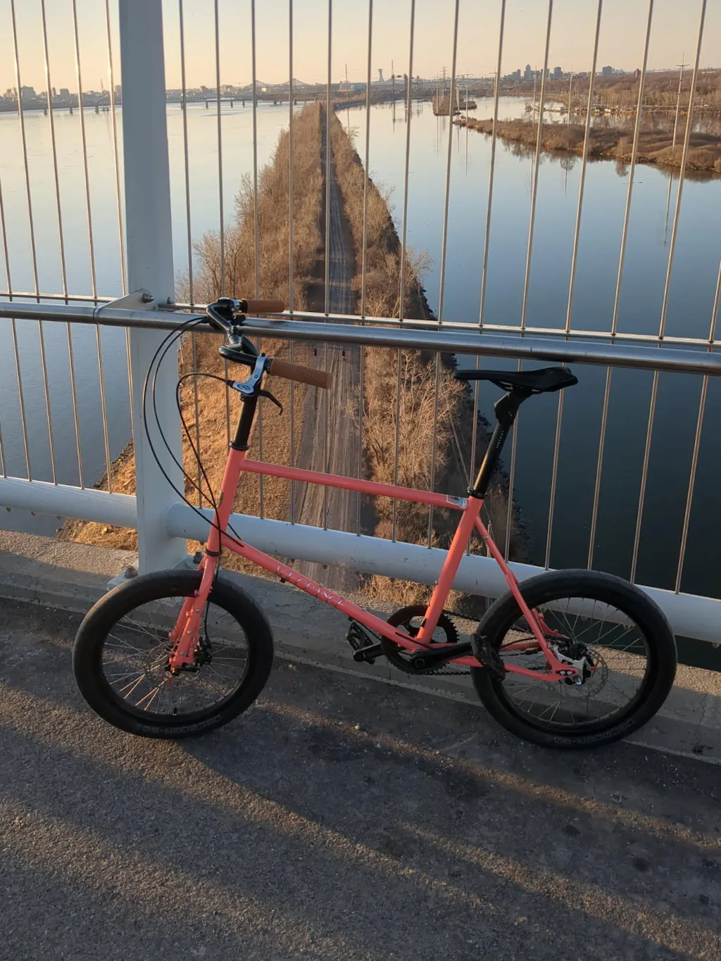 Neutrino Frameset - Velo Orange