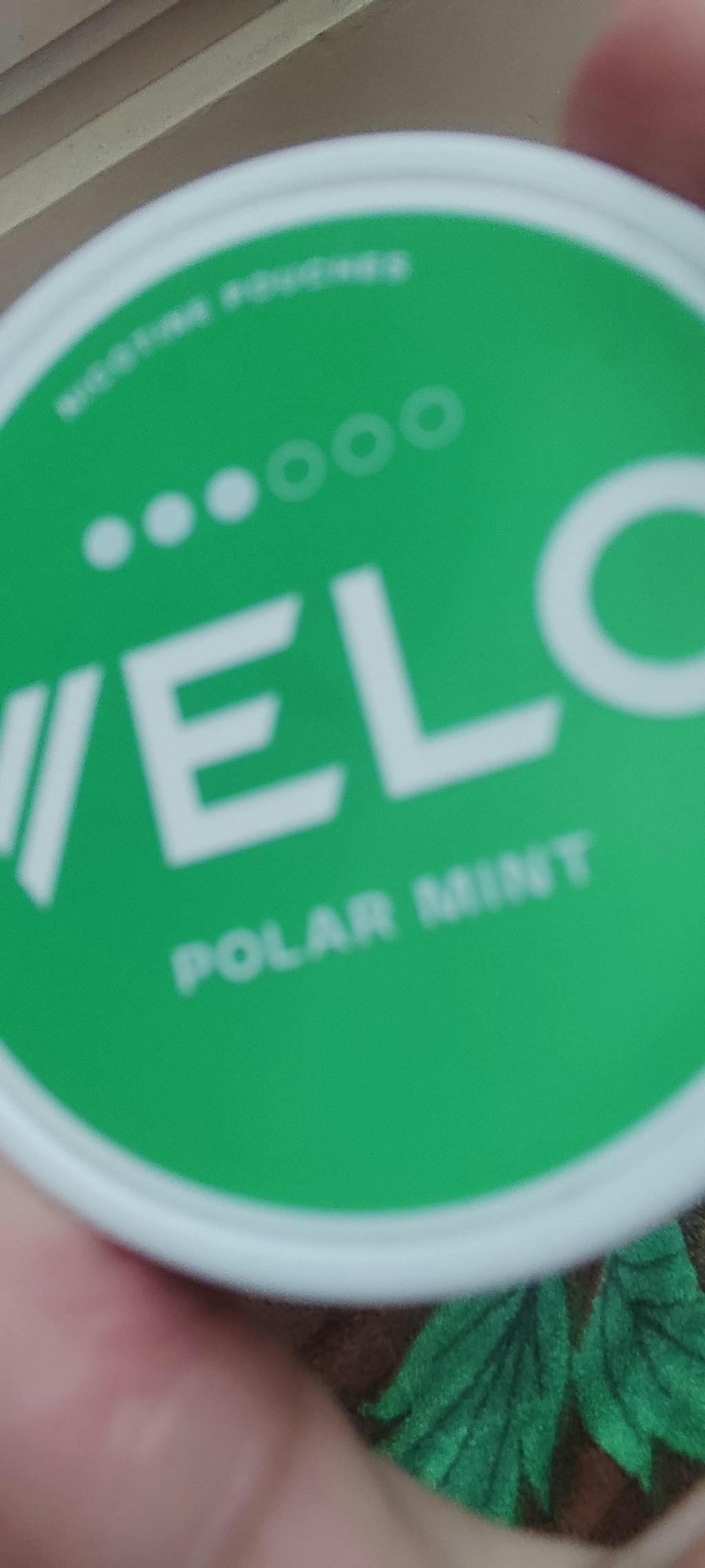 VELO Polar Mint flavor Original Oral Nicotine Pouches | 10mg | Pakistan ...