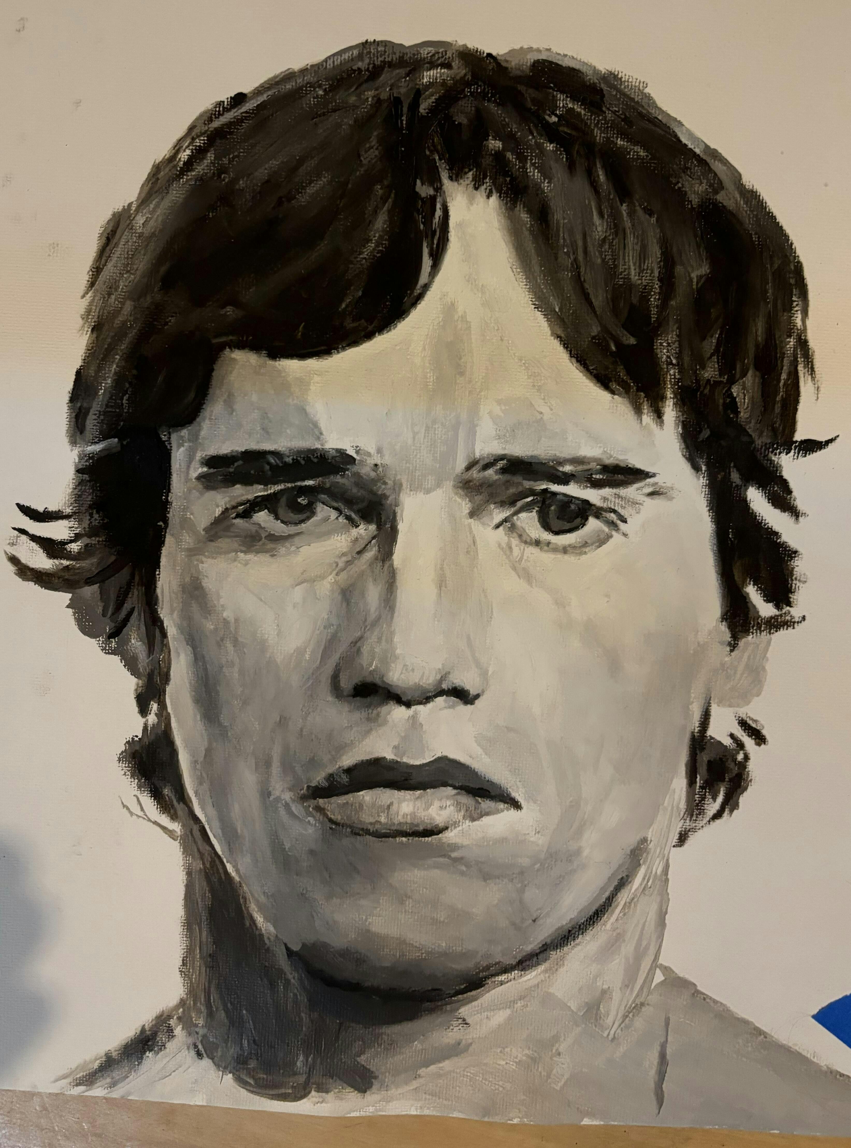 Vermirror Pro - Master Your Art with the Professional Artist Comparator ...