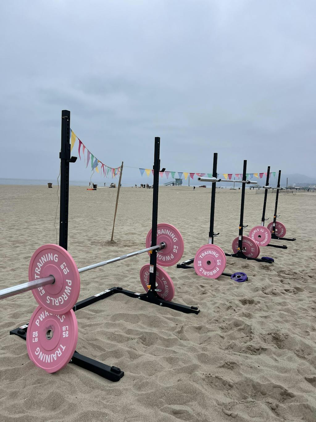 Verse Fit : The World's First Foldable & Portable Squat Rack