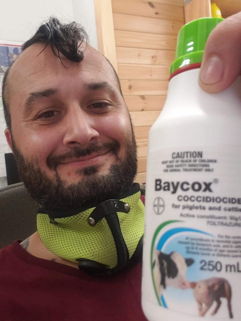 Baycox Piglet & Cattle Coccidiocide 250mL - vet-n-pet DIRECT