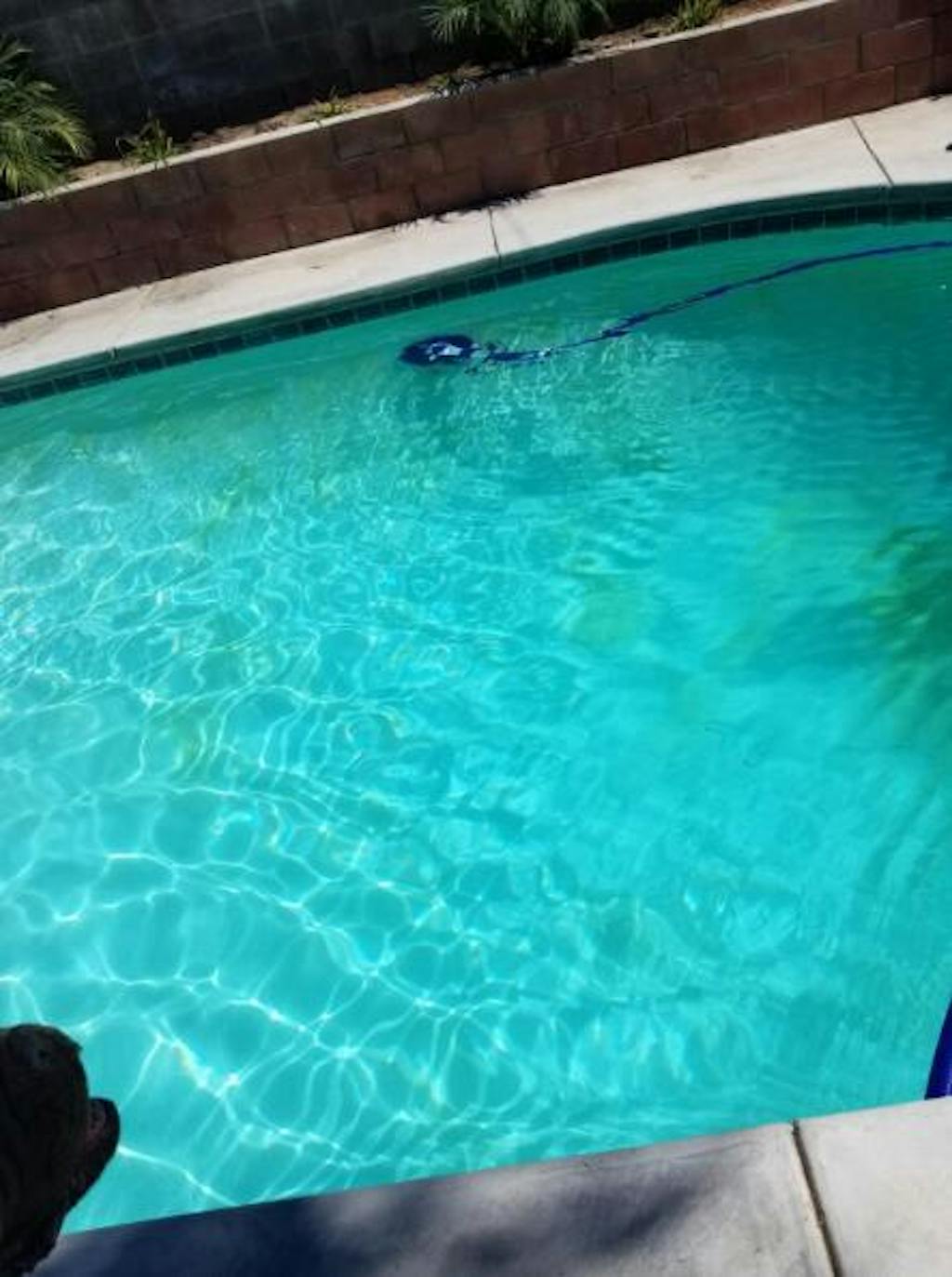 VINGLI Pool Vacuum Cleaner Automatic Suction Sweeper Swimming Pool Cli