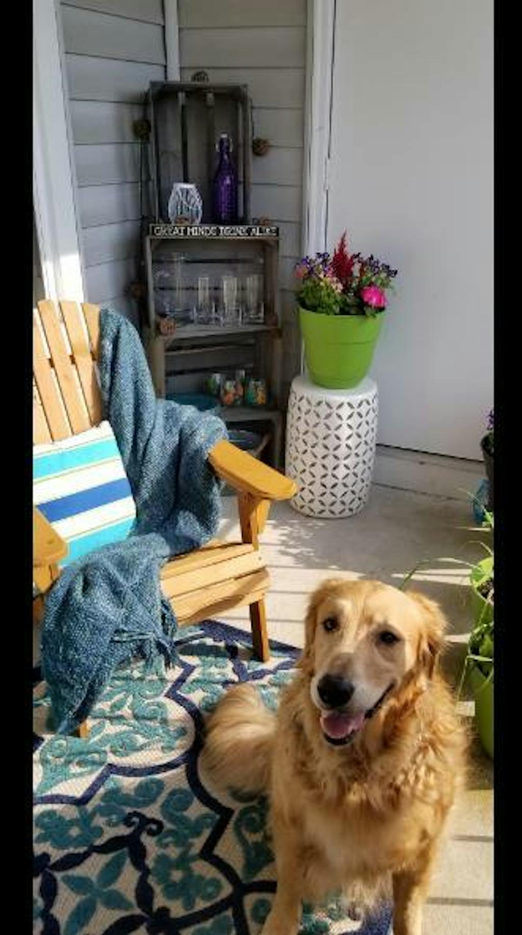 VINGLI Folding Adirondack Chair, HDPE All-Weather Patio Chairs, Wooden ...