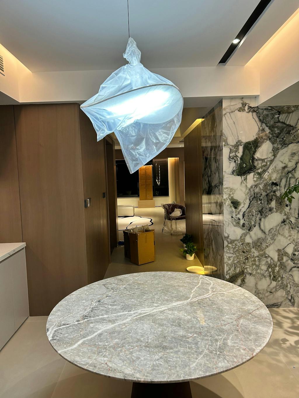 Modern Tense Pendant Light - Hanging Lamp for Living Room and Bedroom ...