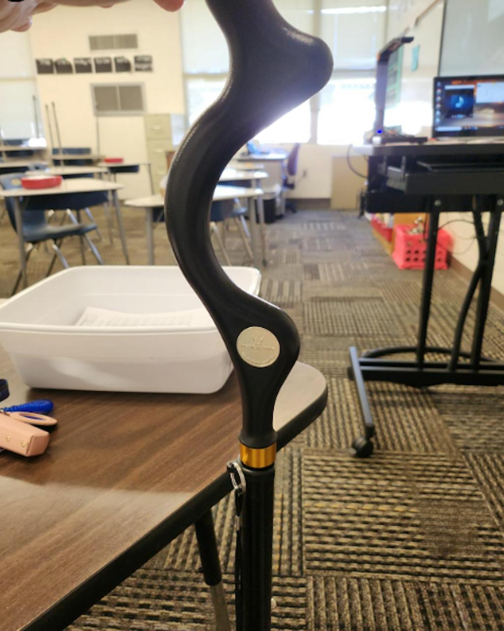 Discover Stability with StepSmart: Special Balancing Cane - 10 ...