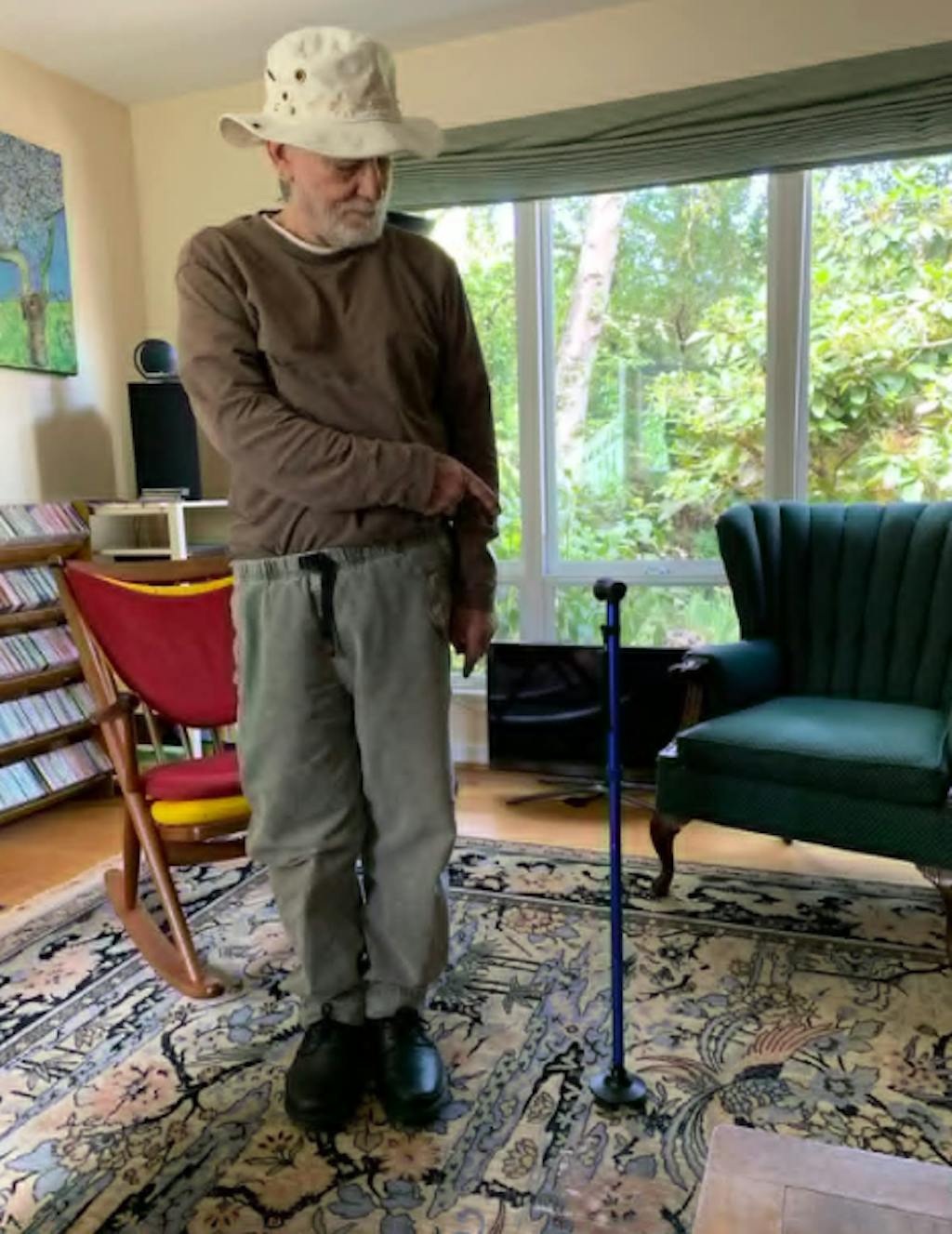 WalkWise Folding Canes: Redefining Mobility - Stability and Support for ...