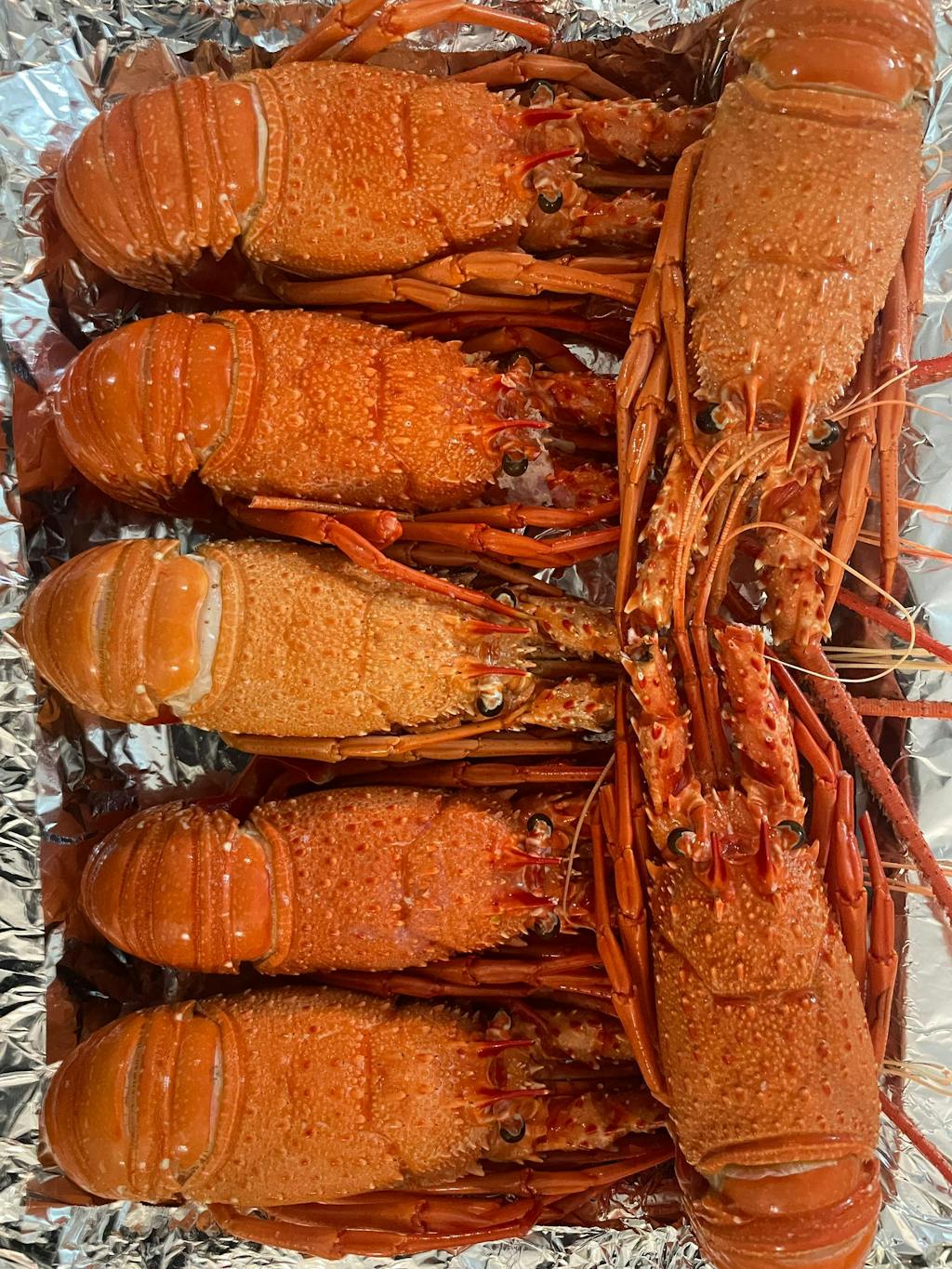 Lobster Prep Tips – WA CRAYS