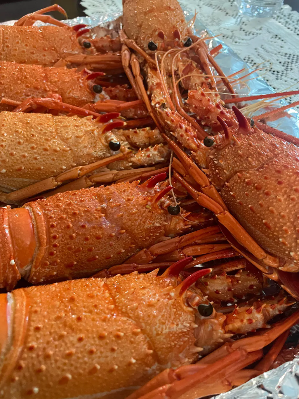Live West Australian Lobster – WA CRAYS