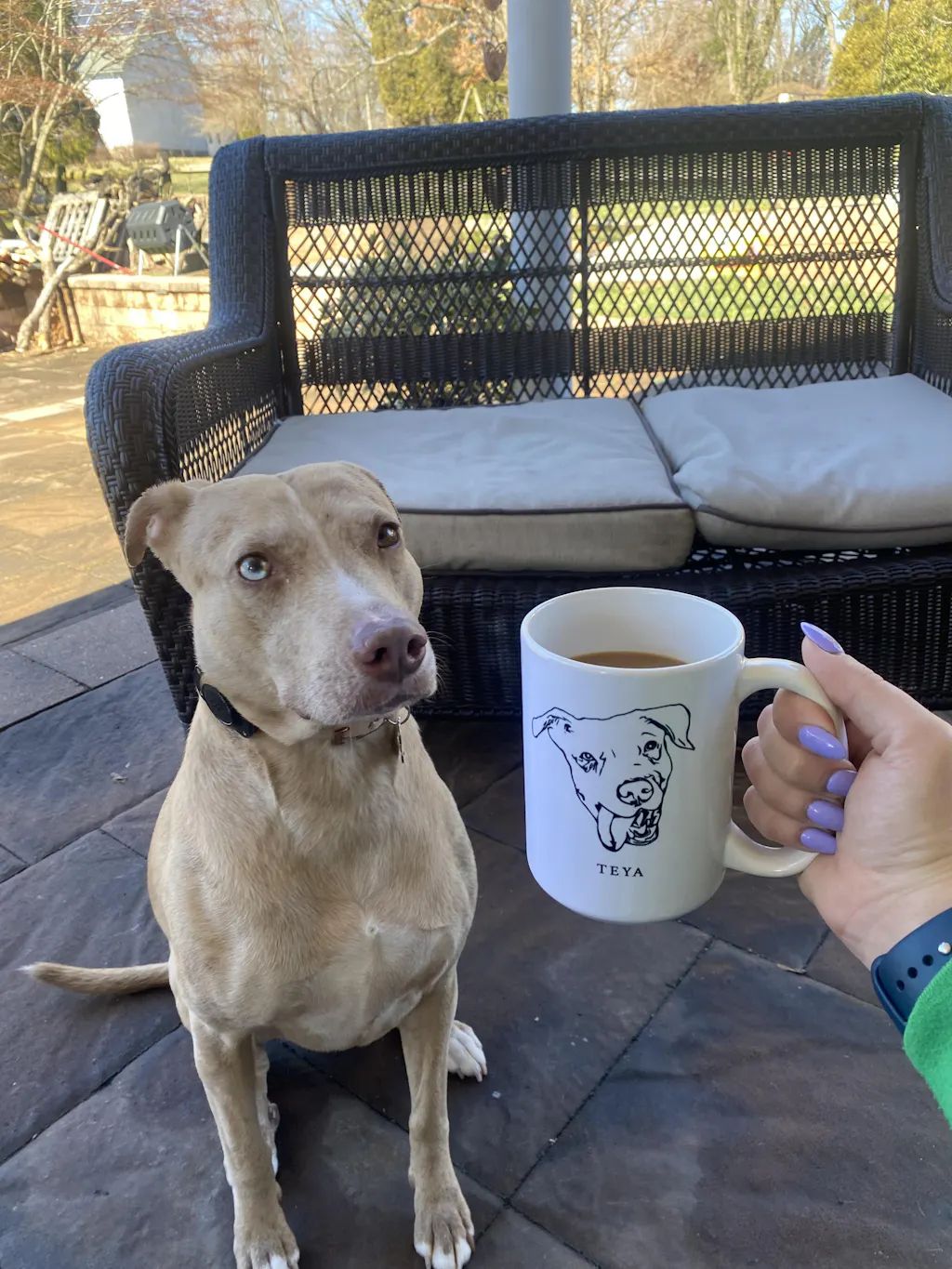 Custom Dog Mug | Custom Pet Mug | Personalized Dog Mug | Wagged Tails