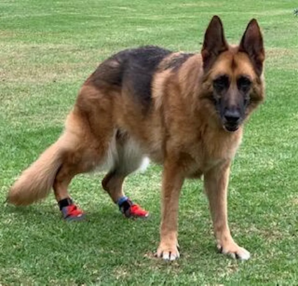 Ruff Wear Dog Boots Grip Trex