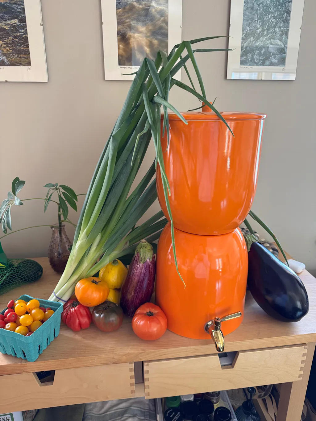 Orange Water Filter – Walter Filter