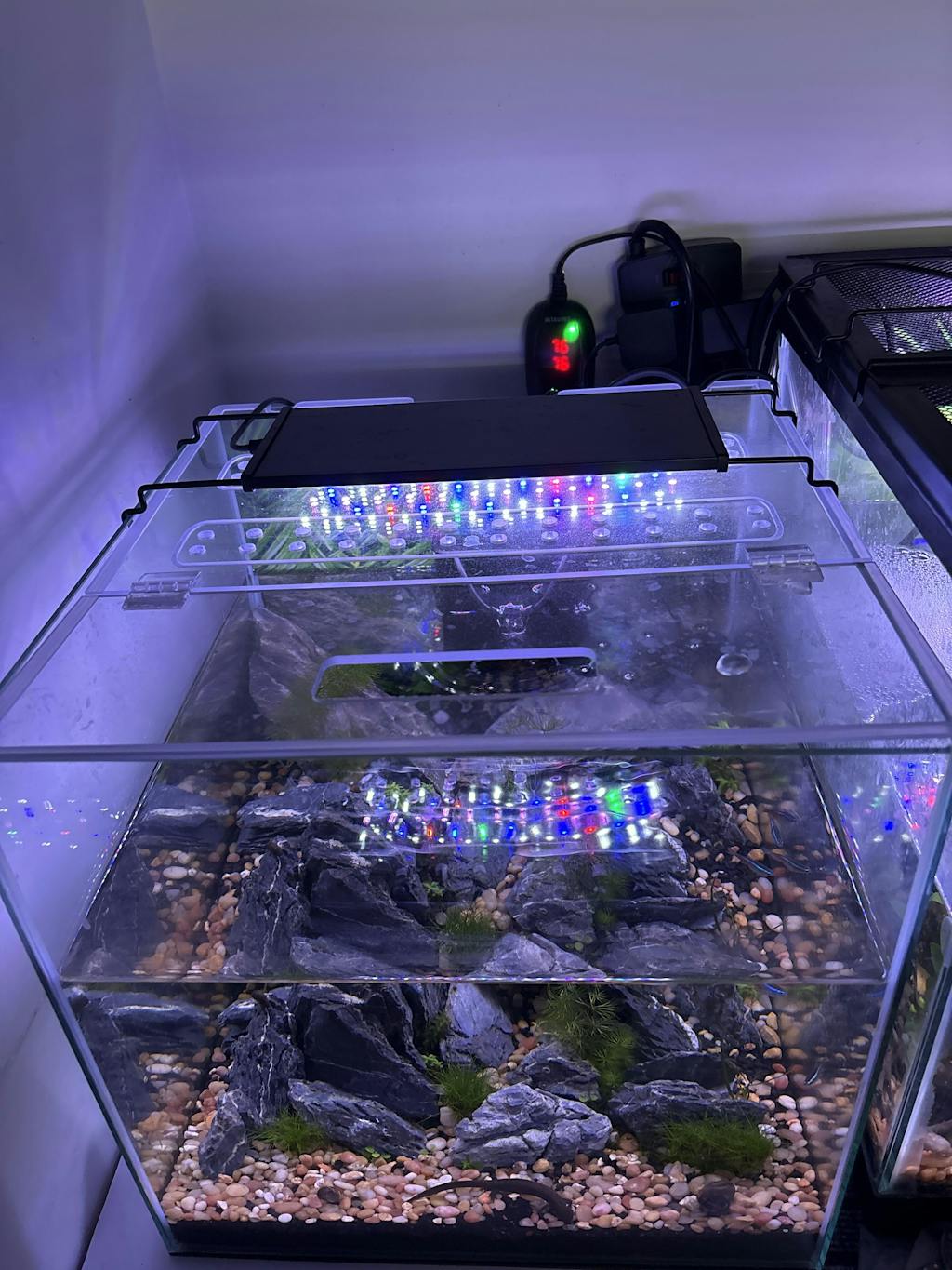 Clear Lid for Aqueon® Tanks All Sizes – Walter Lids